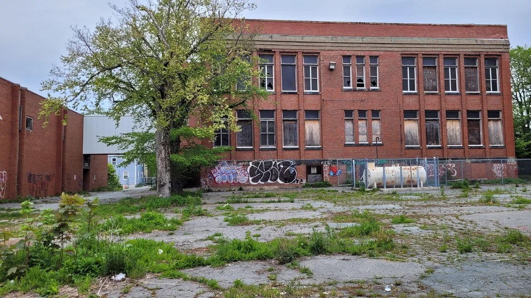 Halifax Confidential: Our developers are saints – Another ruined dinner ...